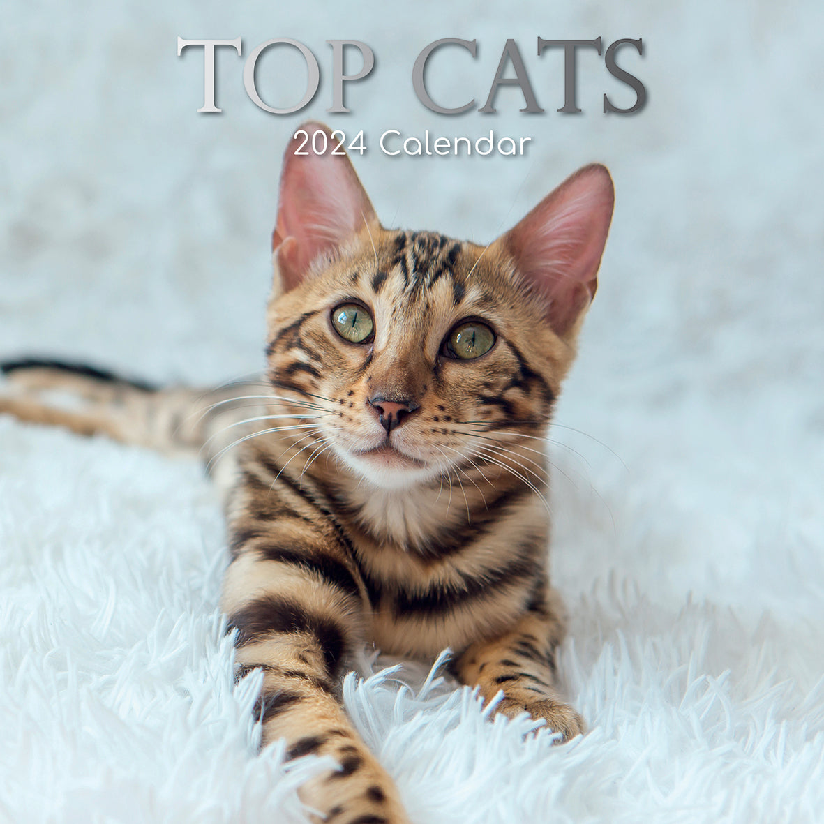 Top Cats - 2024 Square Wall Calendar Pets Animals 16 Months Premium Pl