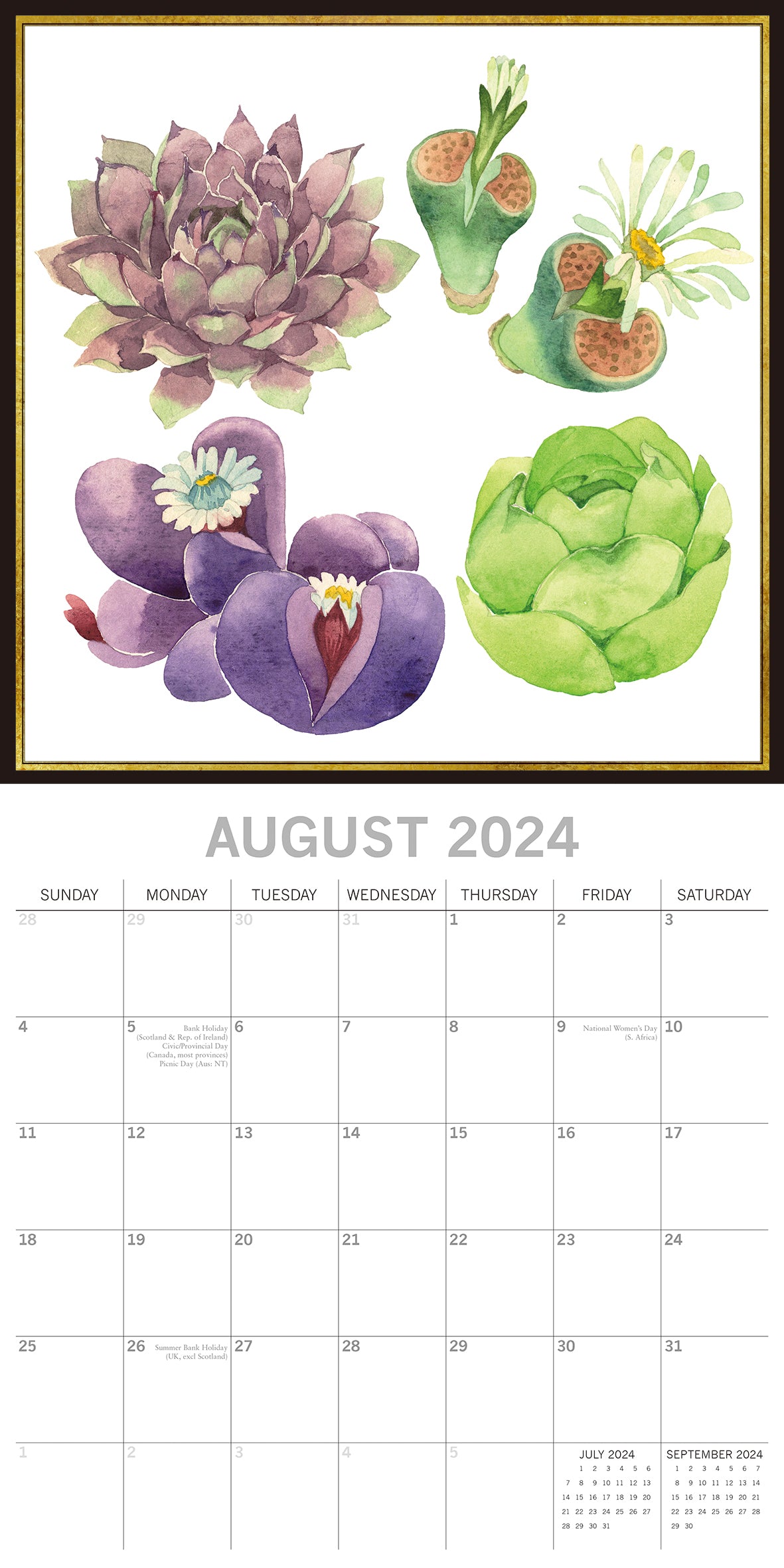 Succulents - 2024 Square Wall Calendar 16 Months Arts Planner Xmas New